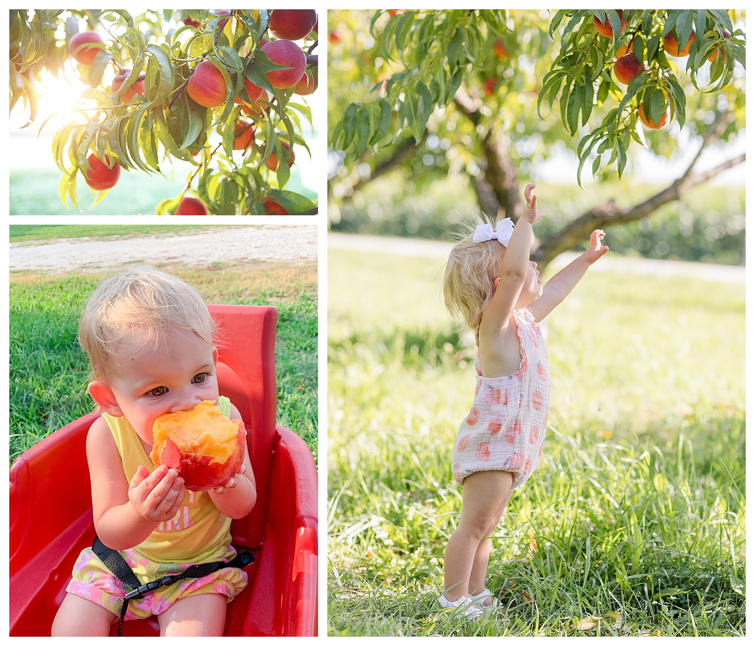 The History of Stacy Peaches - perfectpixelsdesign.com